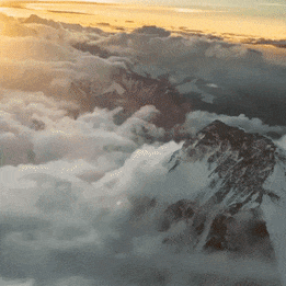 iWellBe - Your daily wellness